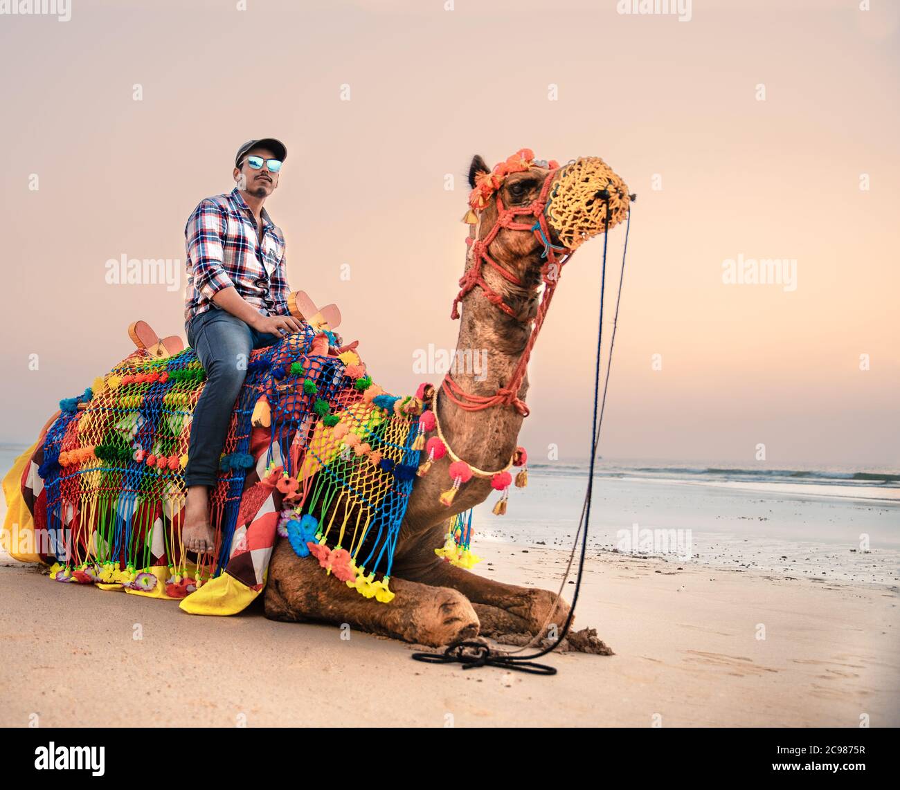 tourist with camel seating near indian beach while camel ride Stock ...