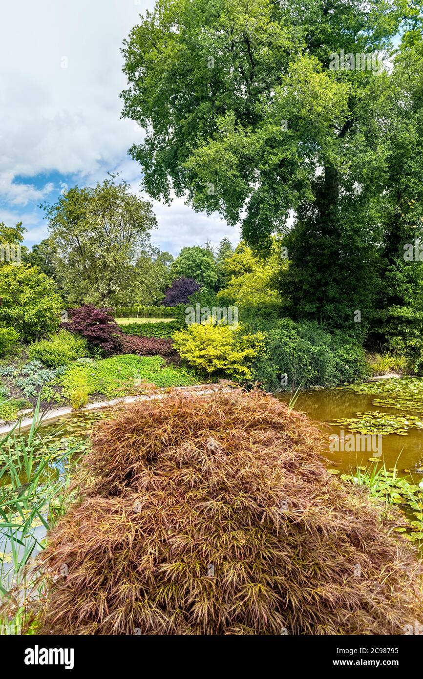 Cliveden water garden hi-res stock photography and images - Alamy