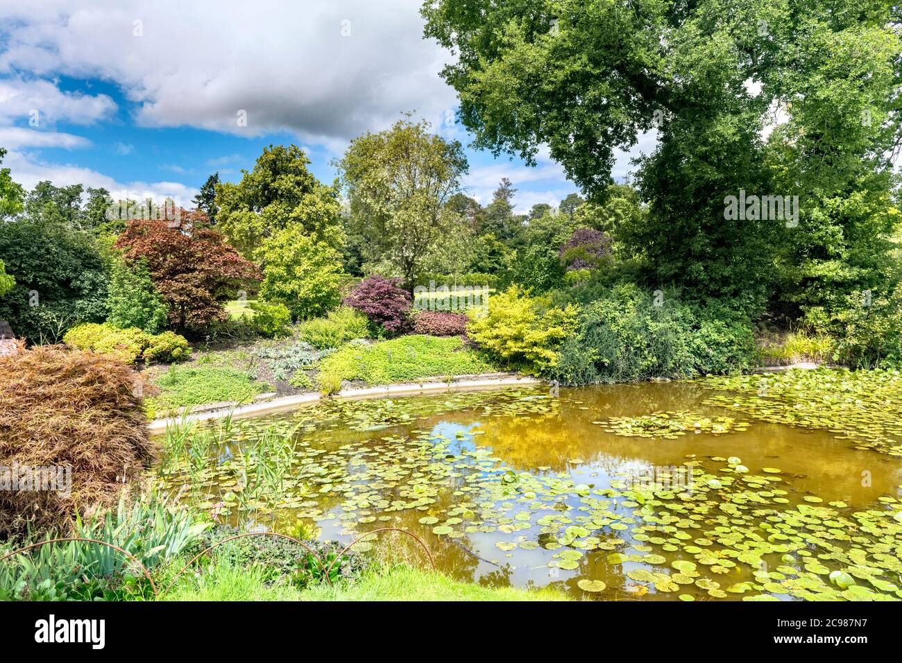 Cliveden House Maidenhead Berkshire views of water garden and lily pond ...
