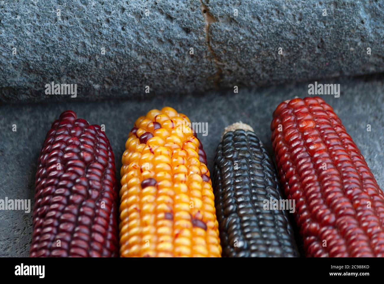 Dried corn agriculture hi-res stock photography and images - Alamy