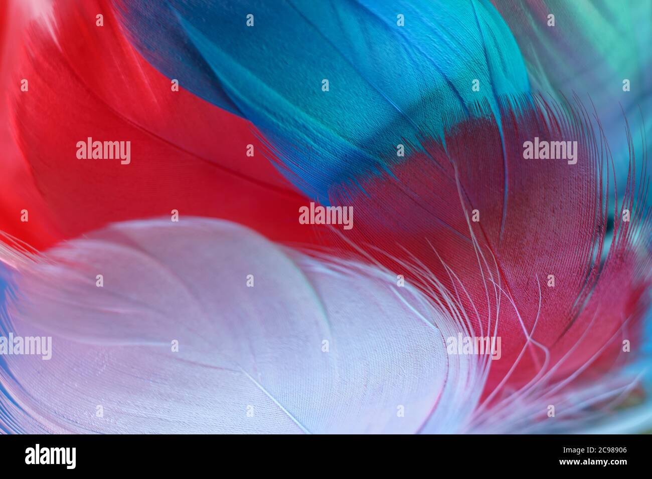 Exotic texture feathers background close up. Red, blue, gray feathers ...