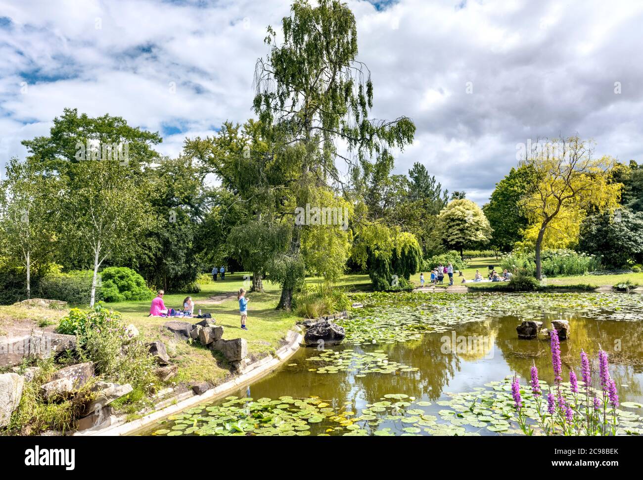 Cliveden House Maidenhead Berkshire views of water garden and lily pond ...