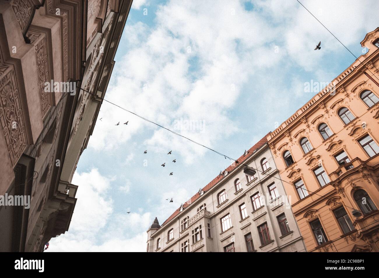 Low angle of buildings with birds flying high above Stock Photo - Alamy