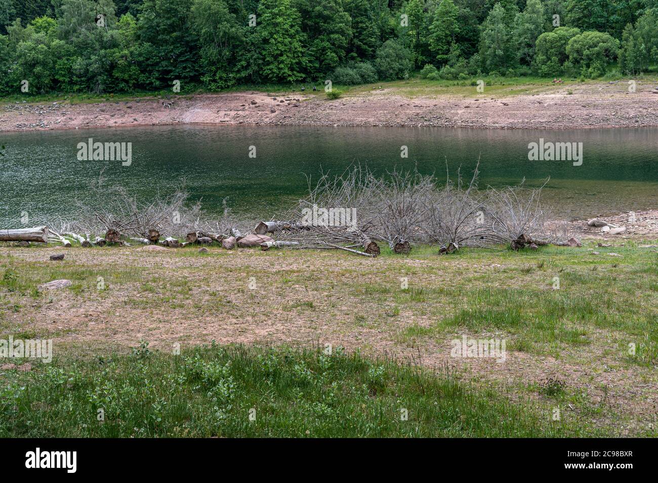 Broken trees at the Nagold Dam (Nagoldtalsperre, also Erzgrube) in the ...