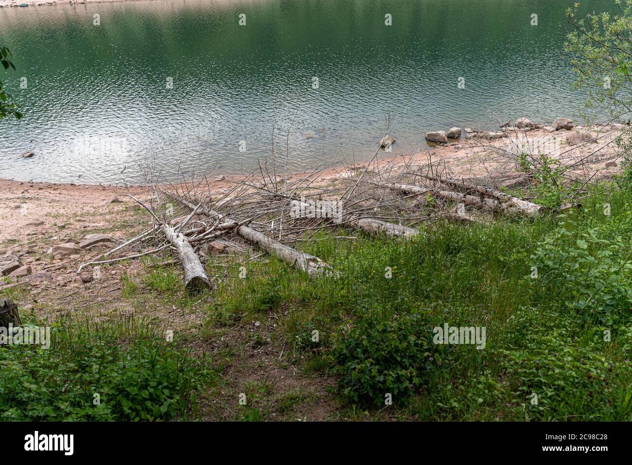 Broken trees at the Nagold Dam (Nagoldtalsperre, also Erzgrube) in the ...