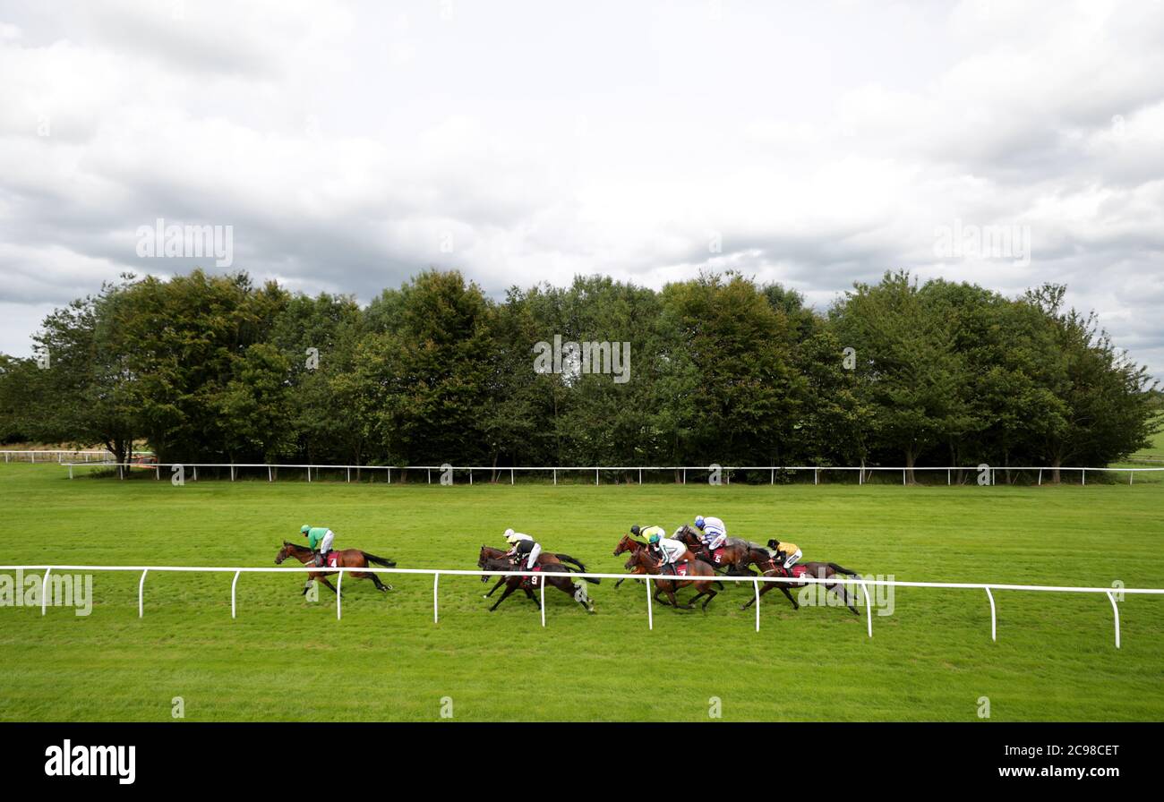 Tote supporting racing since 1928 handicap chase bangor racecourse hi ...