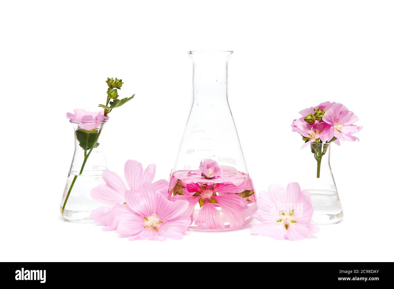 Beauty product in a bottle natural cosmetics, herbal organic extract ...