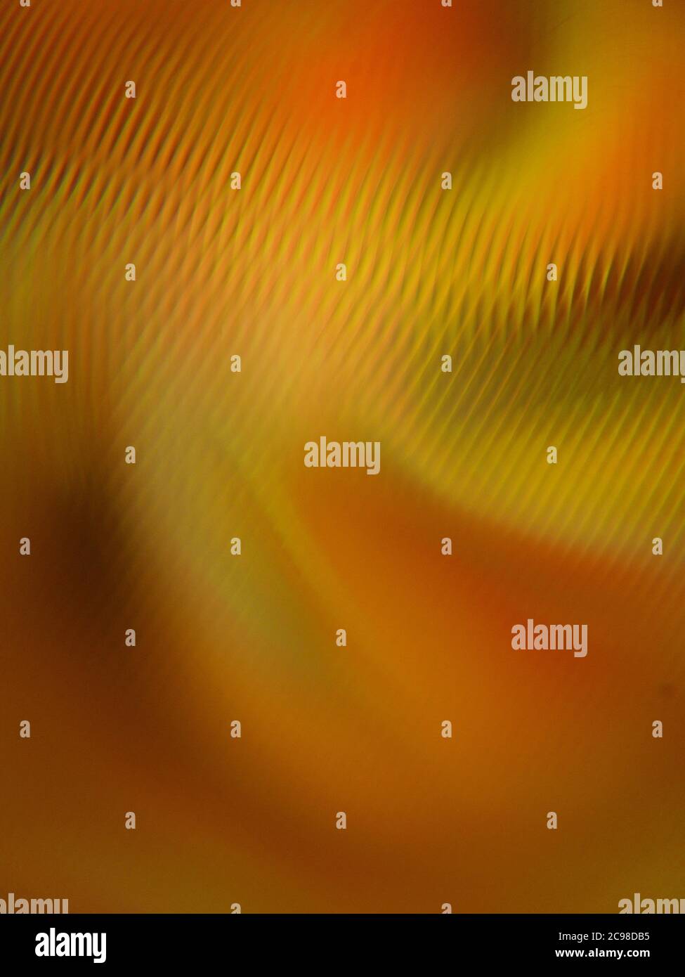 Vertical illustration of staggered refracted mottled light layers with ...