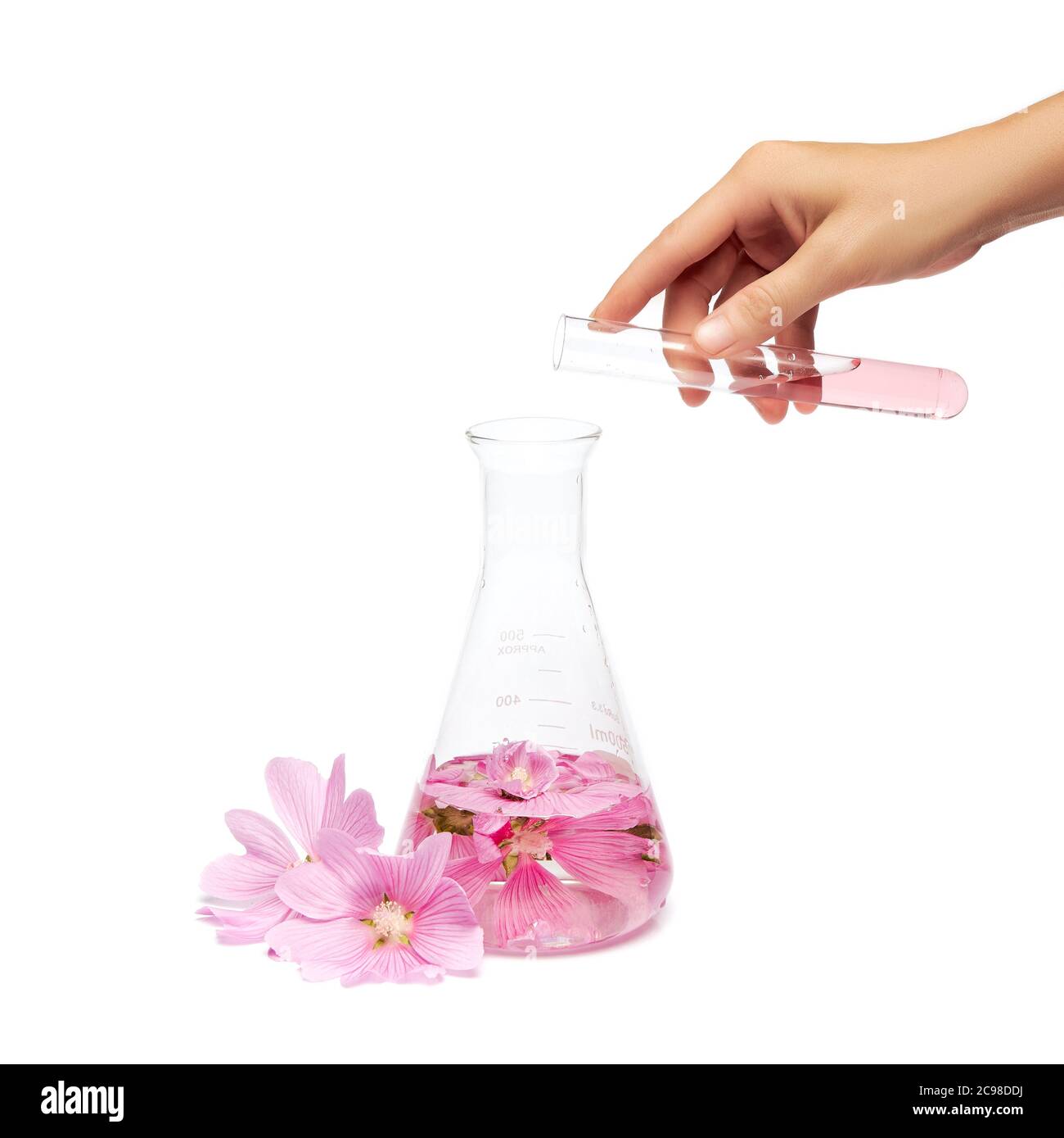 Beauty product in a bottle natural cosmetics, herbal organic extract ...