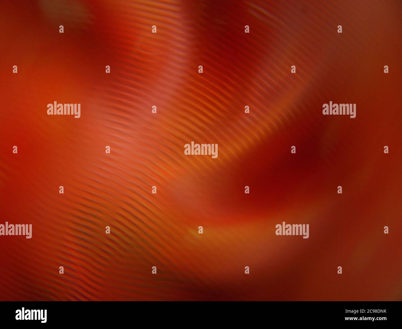 Illustration of staggered refracted mottled light layers with vortex ...