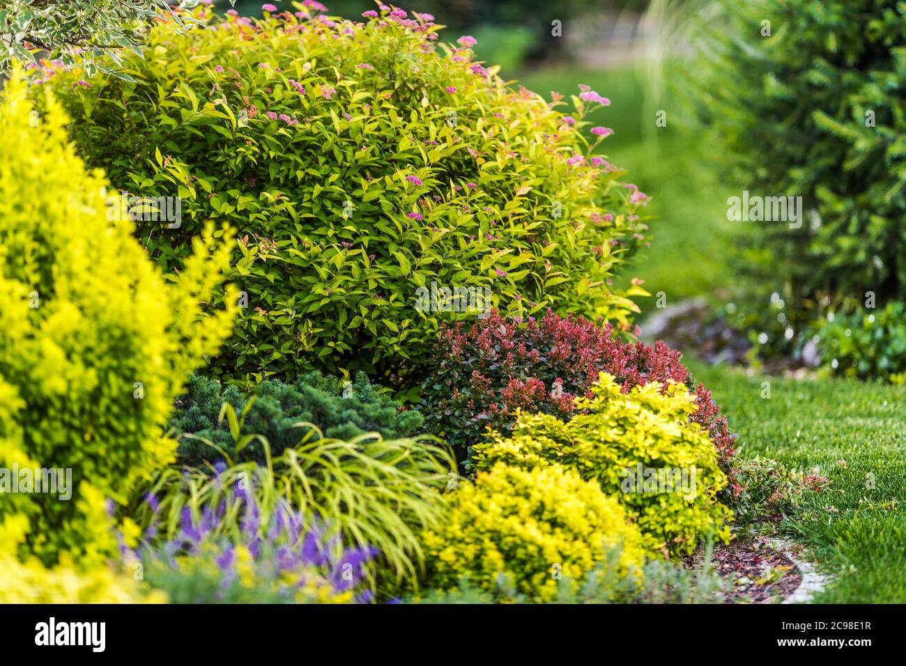 Plants close hi-res stock photography and images - Alamy