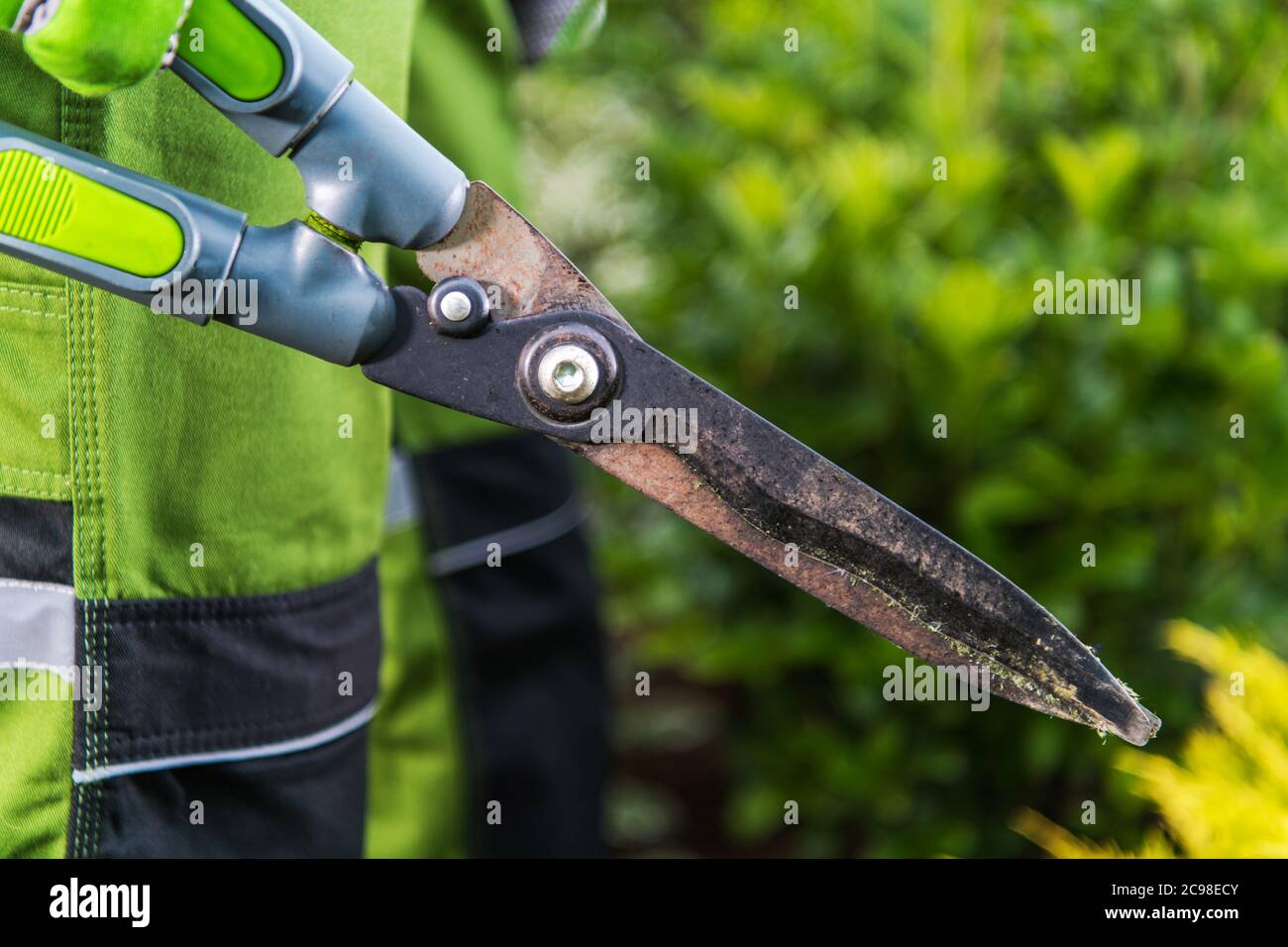 Professional Garden Plants Scissors in Gardeners Hand Close Up ...