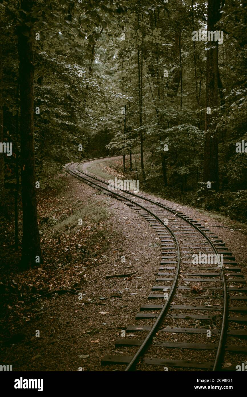 train tracks swerving through the forest Stock Photo - Alamy