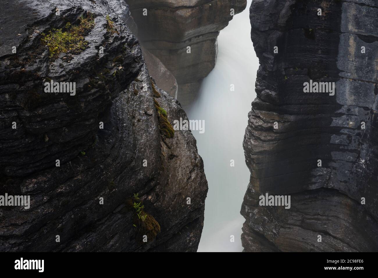 Mistaya Canyon waterfall Banff National Park, Alberta, Canada Stock ...