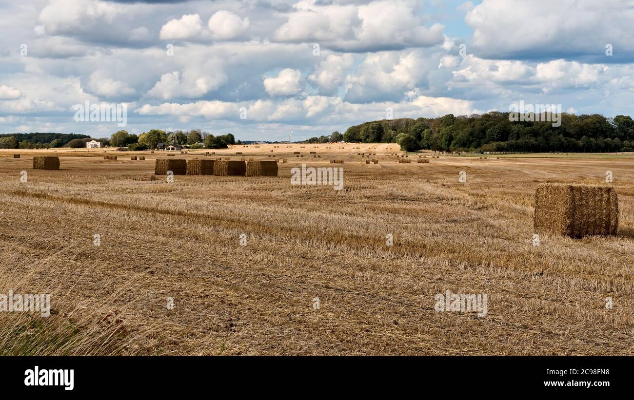 Straw bales bundled hi-res stock photography and images - Alamy