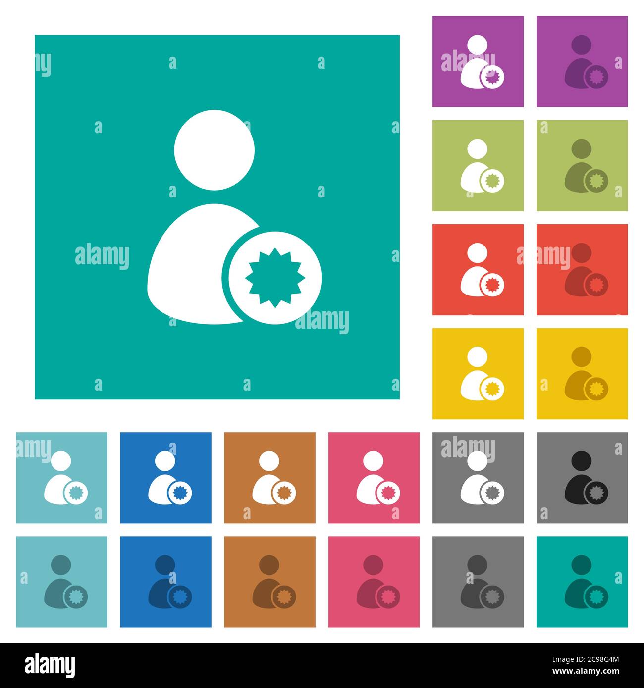 Certified user multi colored flat icons on plain square backgrounds ...