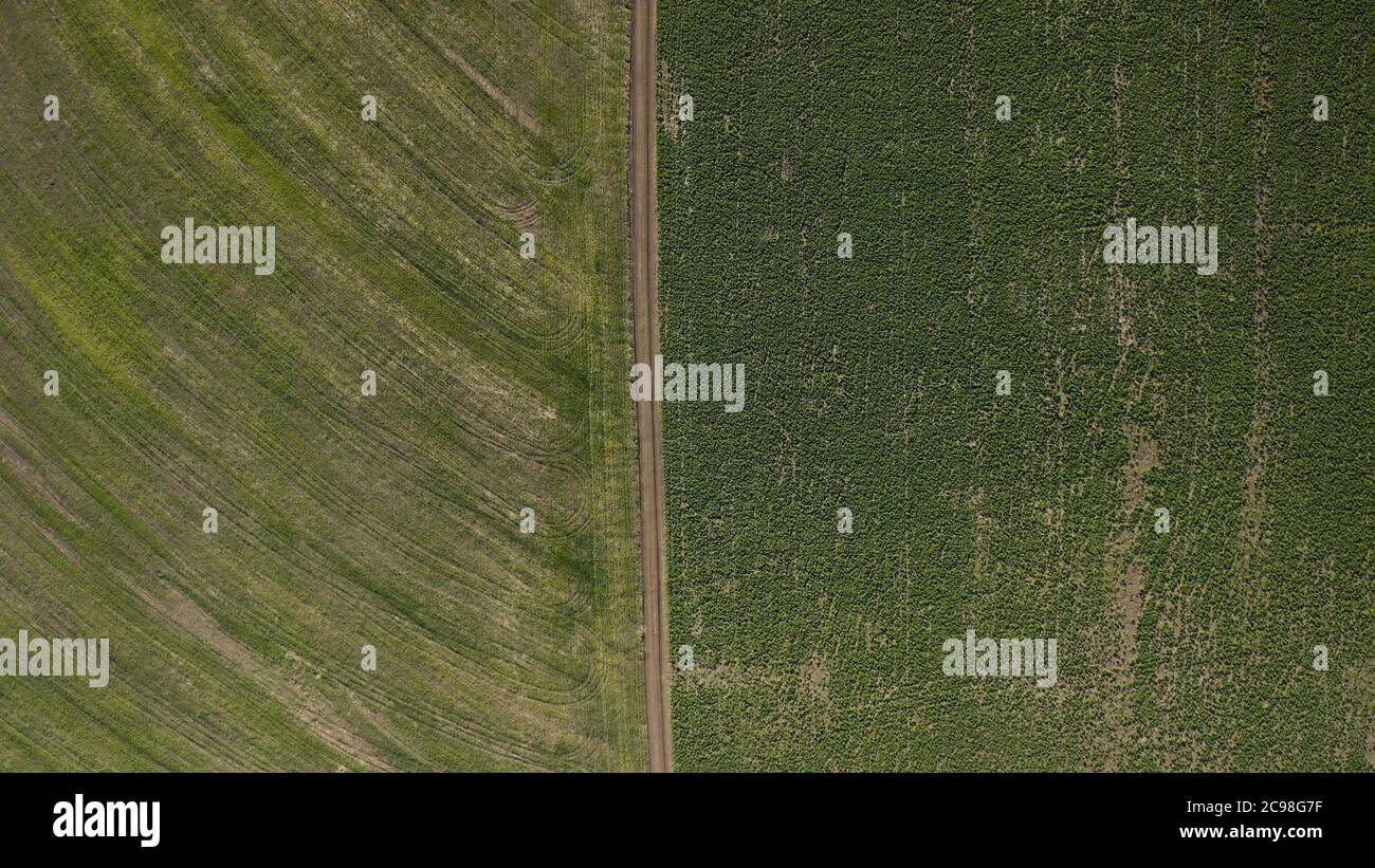 Aerial view of a landscape of a field under the sunlight Stock Photo ...