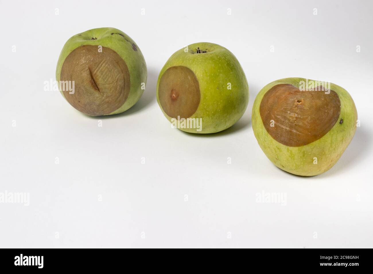 Soft spot hi-res stock photography and images - Alamy