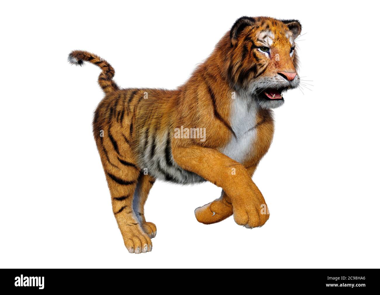 3D rendering of a big cat tiger isolated on white background Stock ...