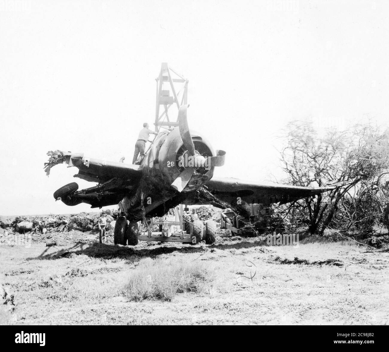 Grumman tbf avenger hi-res stock photography and images - Alamy
