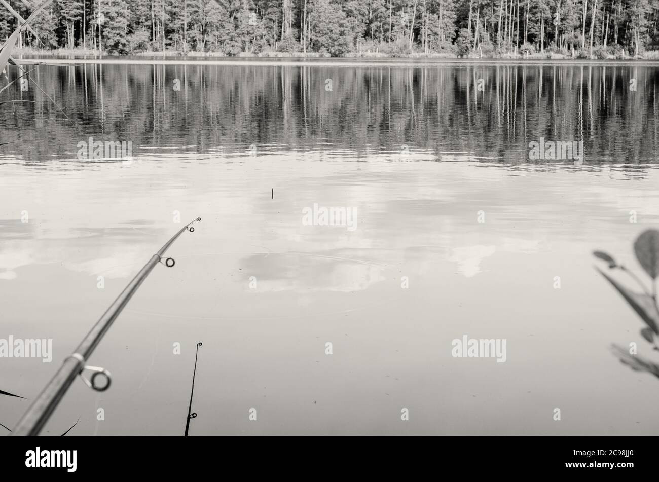 Fishing rod, water surface, float, day reflection of clouds Stock Photo ...