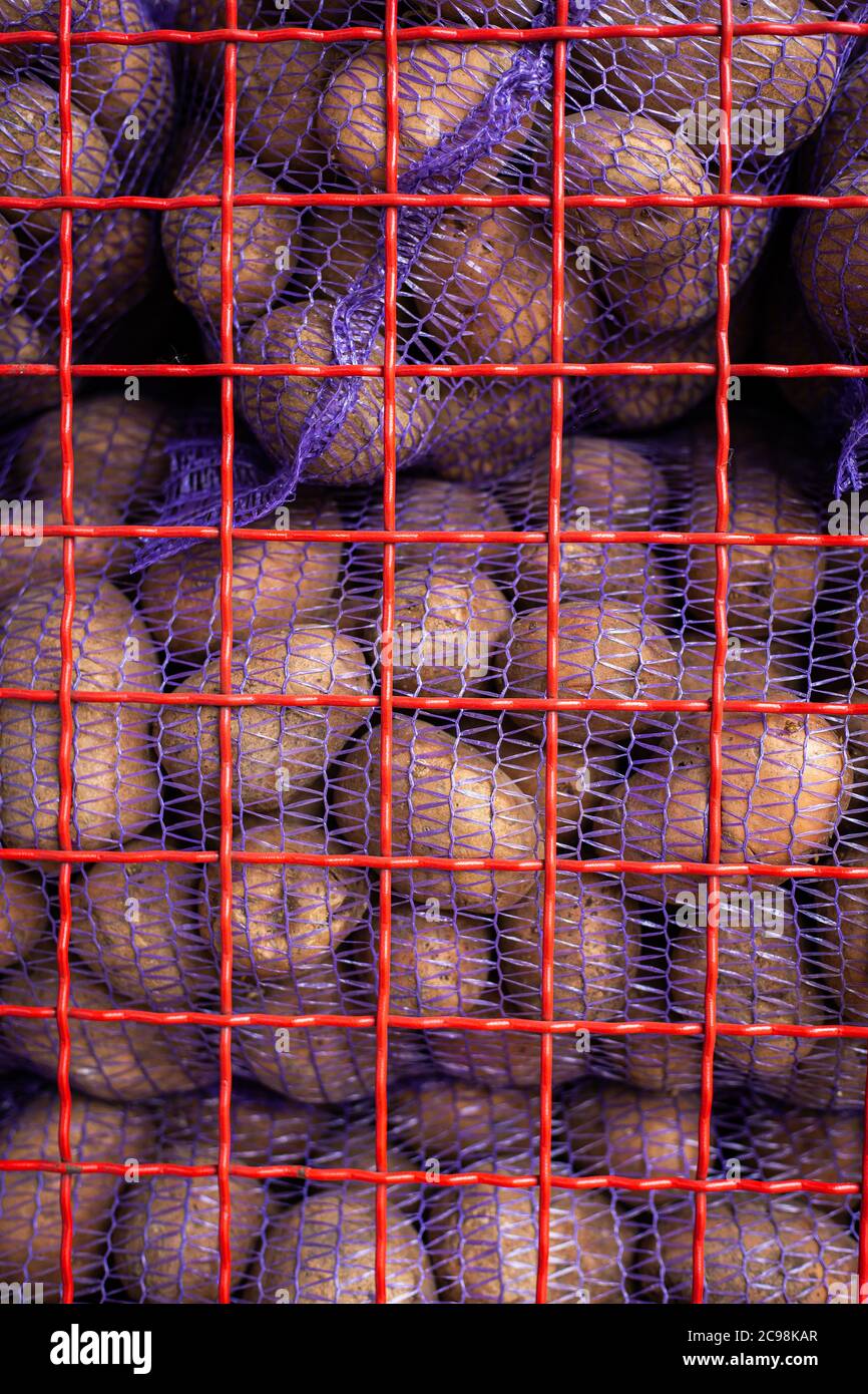 Potato in a grid lies in a metal box, agriculture. Close-up Stock Photo ...