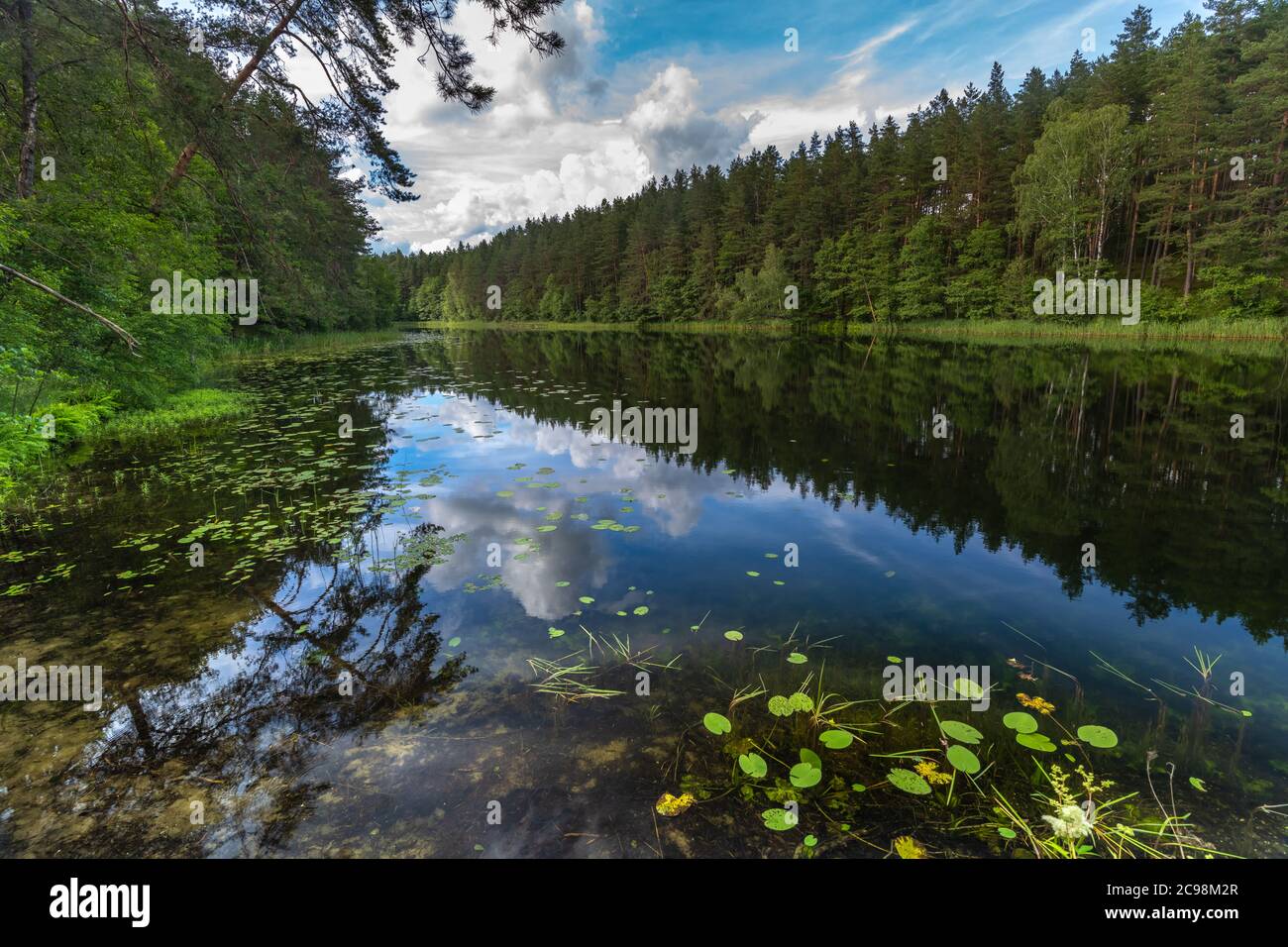 Stunning lakeside landscapes in the Aukstaitija National Park ...