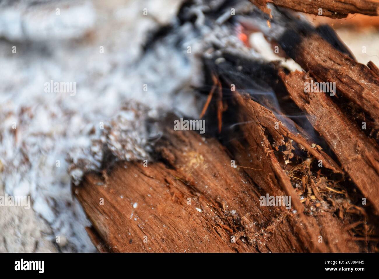 Firewood Ash in Morning Stock Photo - Alamy