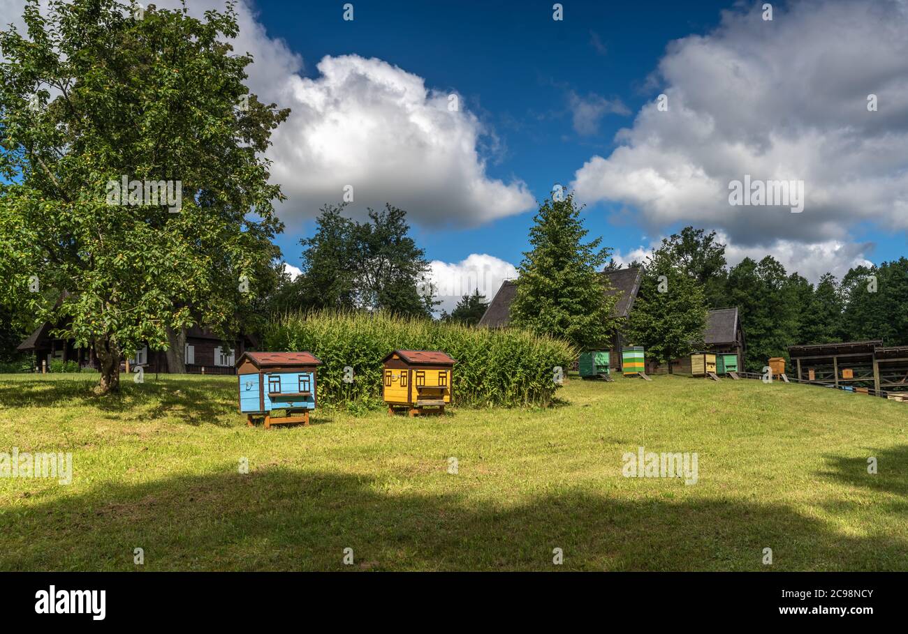 Beekeeping Tourism High Resolution Stock Photography and Images - Alamy