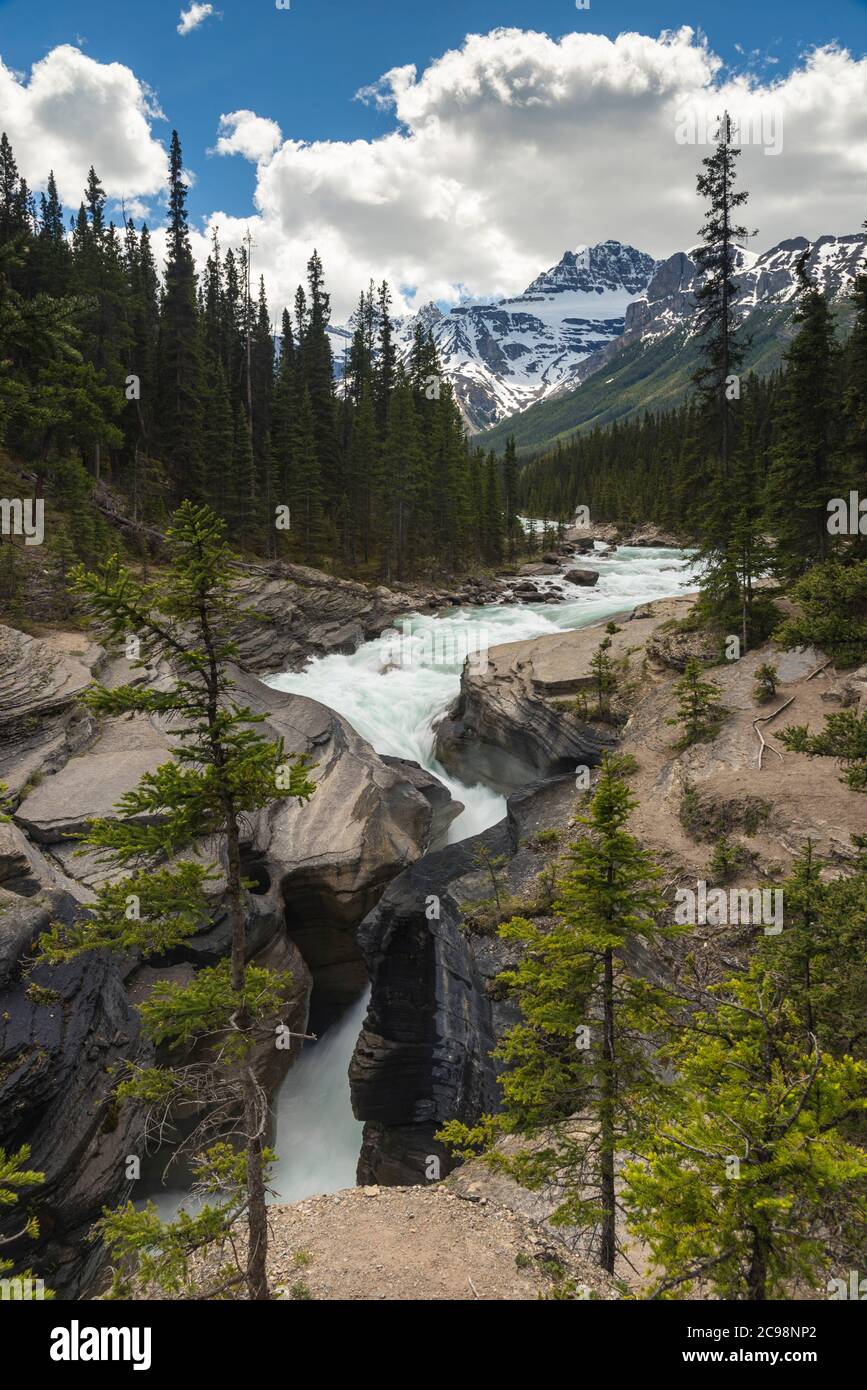 Mistaya Canyon waterfall Banff National Park, Alberta, Canada Stock ...