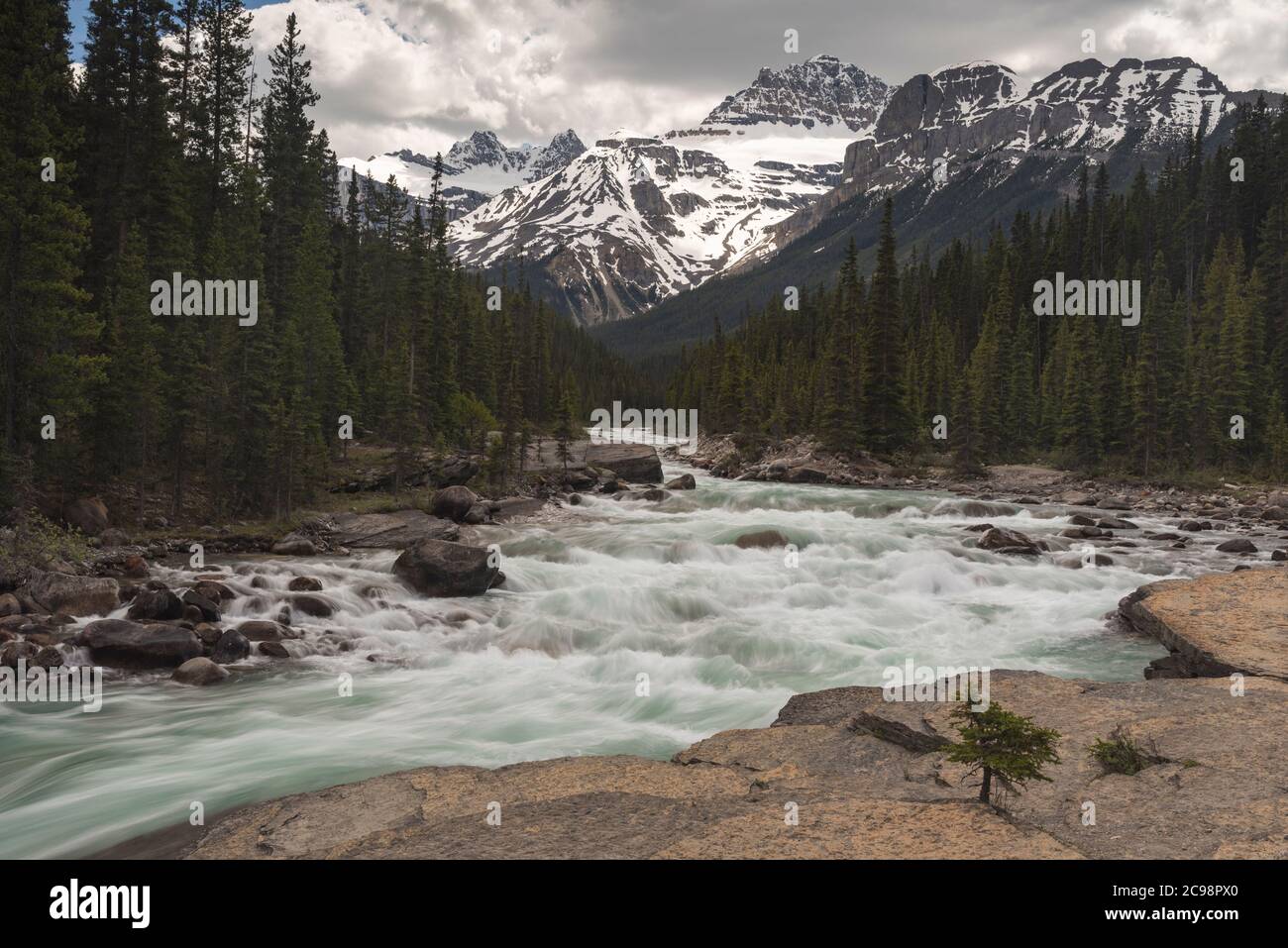Mistaya Canyon waterfall Banff National Park, Alberta, Canada Stock ...