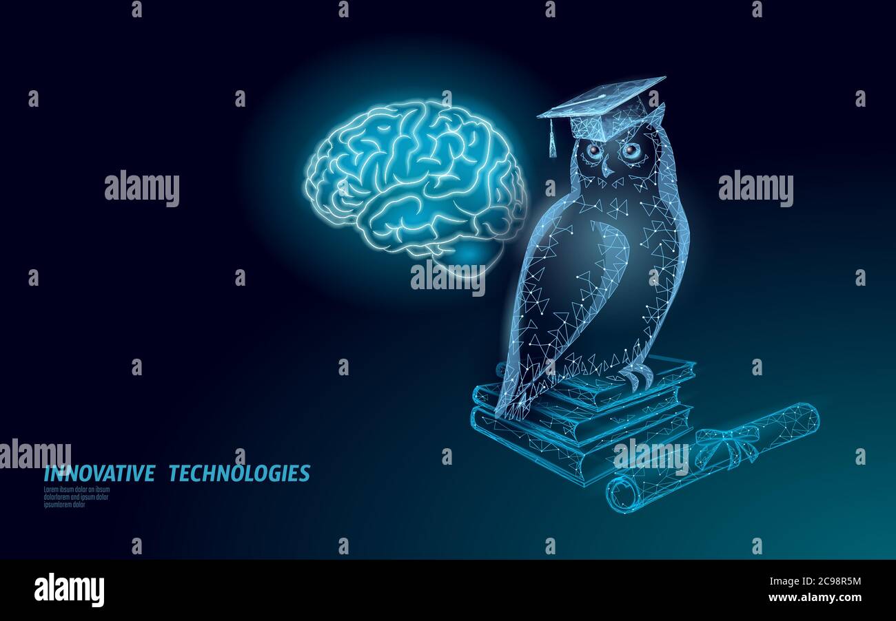 Owl bird symbol of wise education. E-learning distance concept ...