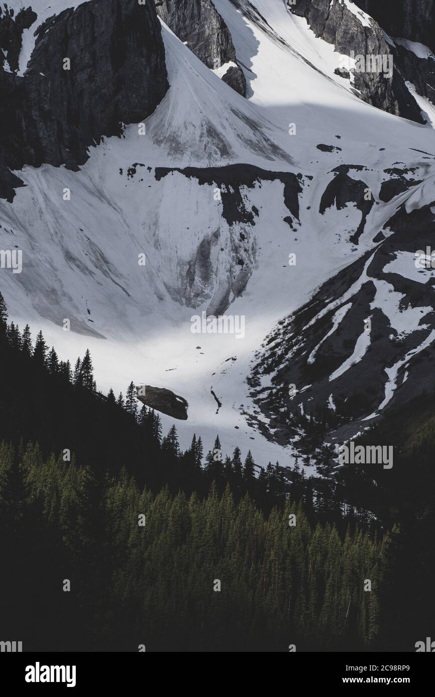 Snowy mountainside with avalanche run and forest, Alberta, Canada Stock ...