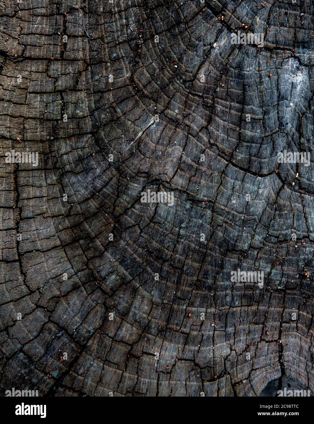 wooden slab, wooden pattern and background Stock Photo - Alamy