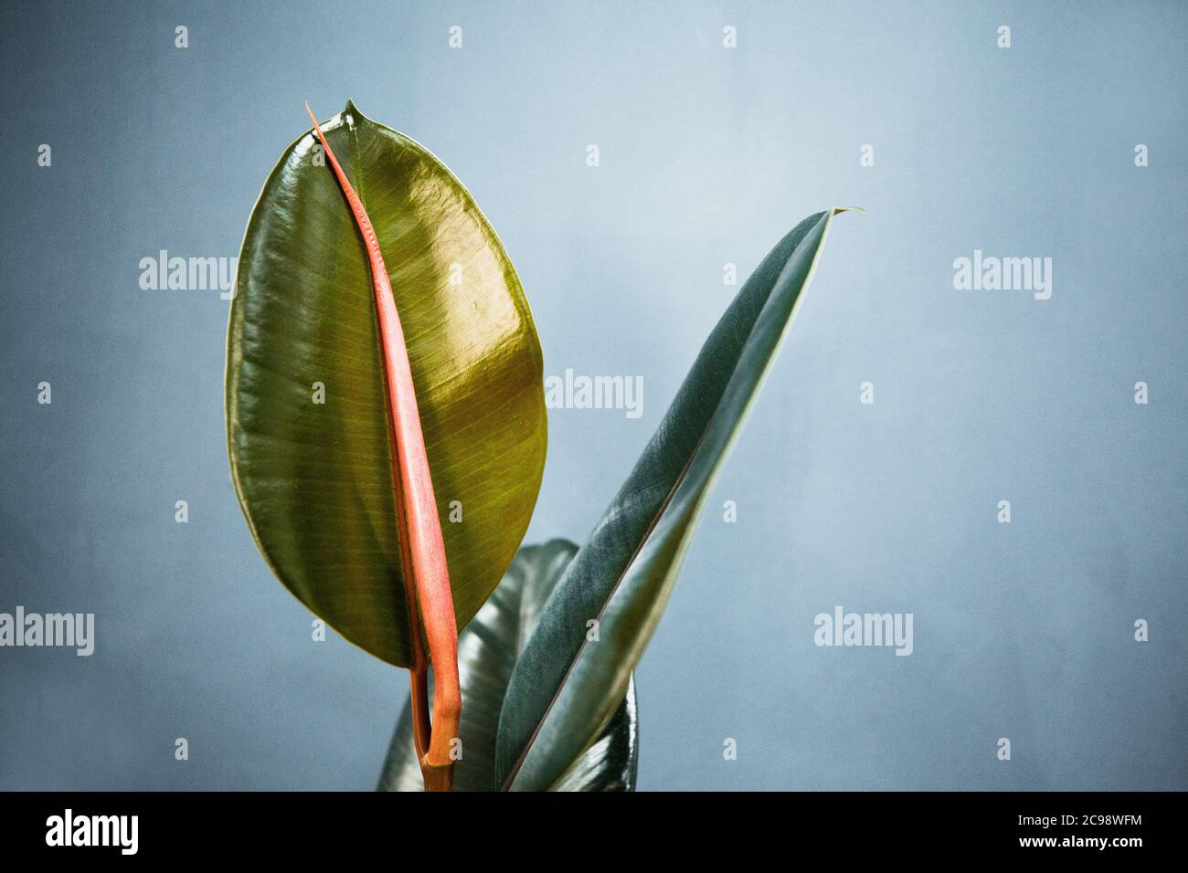 Garden Pod Space Design High Resolution Stock Photography and Images ...