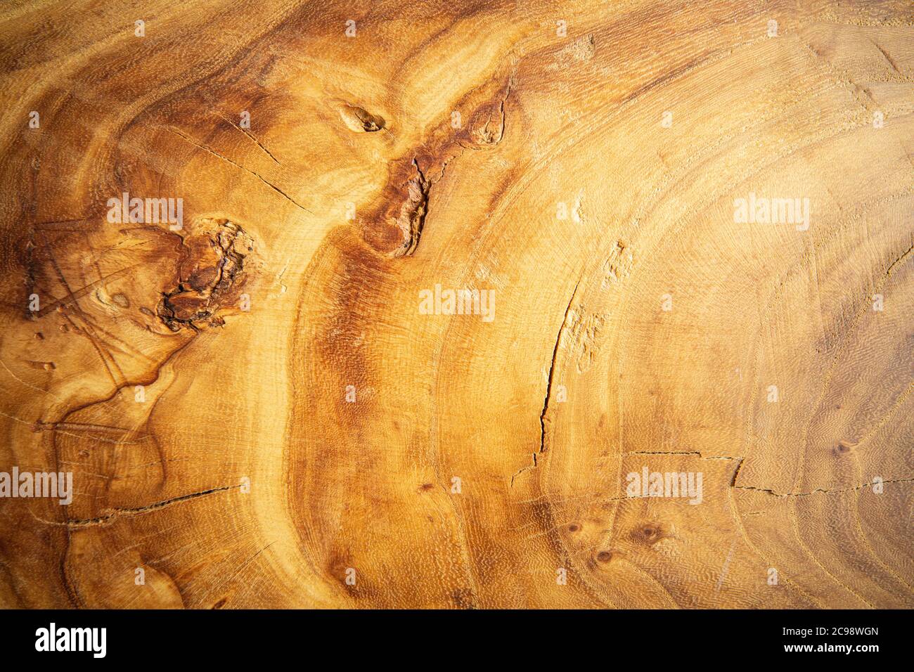 Wooden round cut from oak, cutting board, cross-section of a cut wooden ...