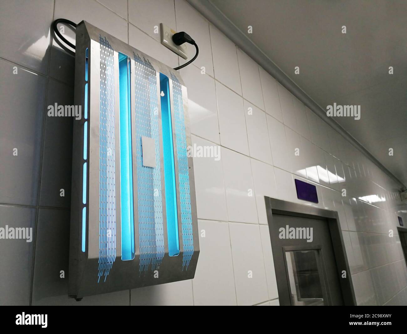 Plastic insect trap hi-res stock photography and images - Alamy