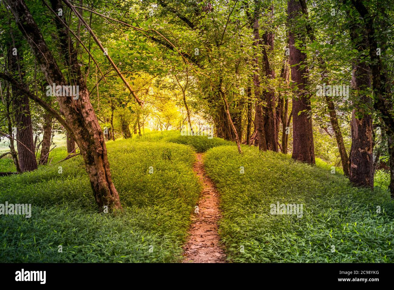 Hiking down a narrow trail in the early morning with the sunrise ablaze ...