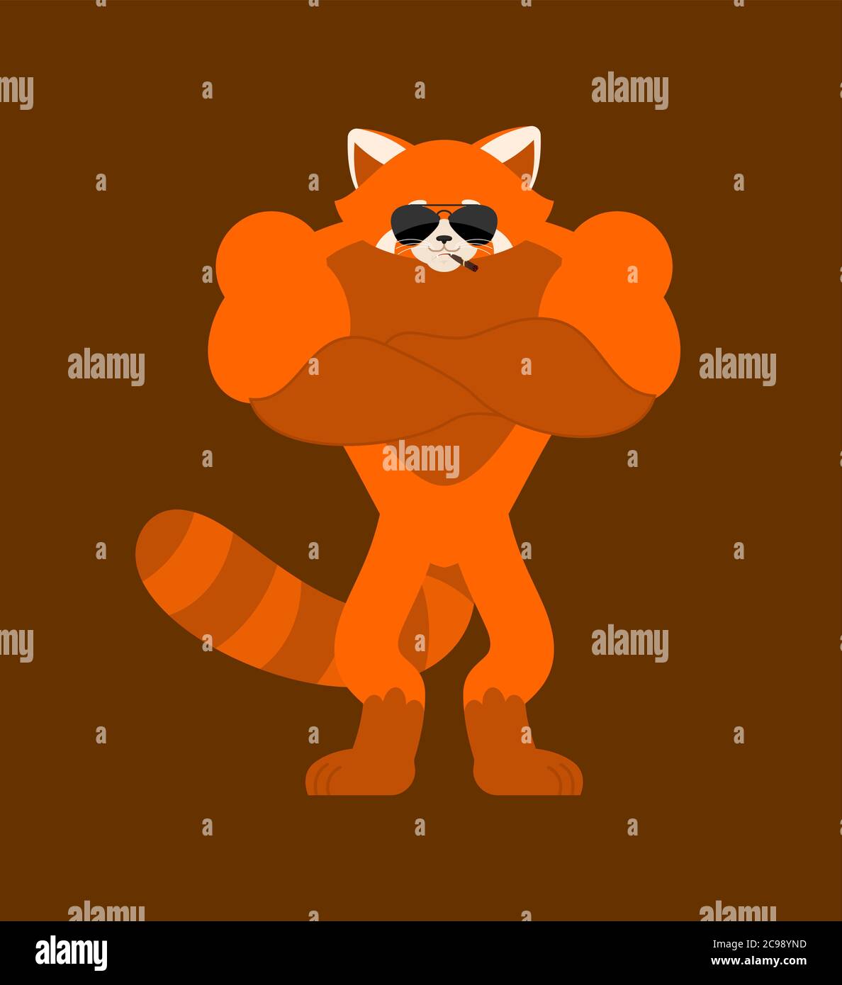 Red panda Strong Cool serious. beast strict. Vector illustration Stock ...