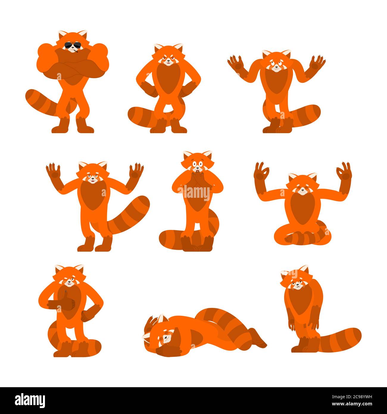 Red panda set poses and motion. Wild animal happy and yoga. Beast ...