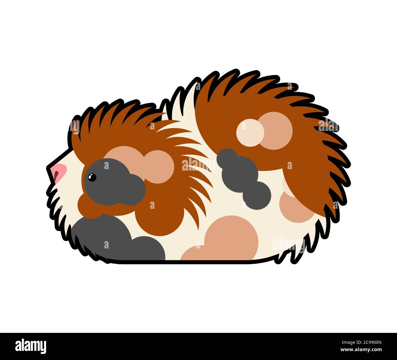 Cavy isolated. guinea pig cartoon. vector illustration Stock Vector ...