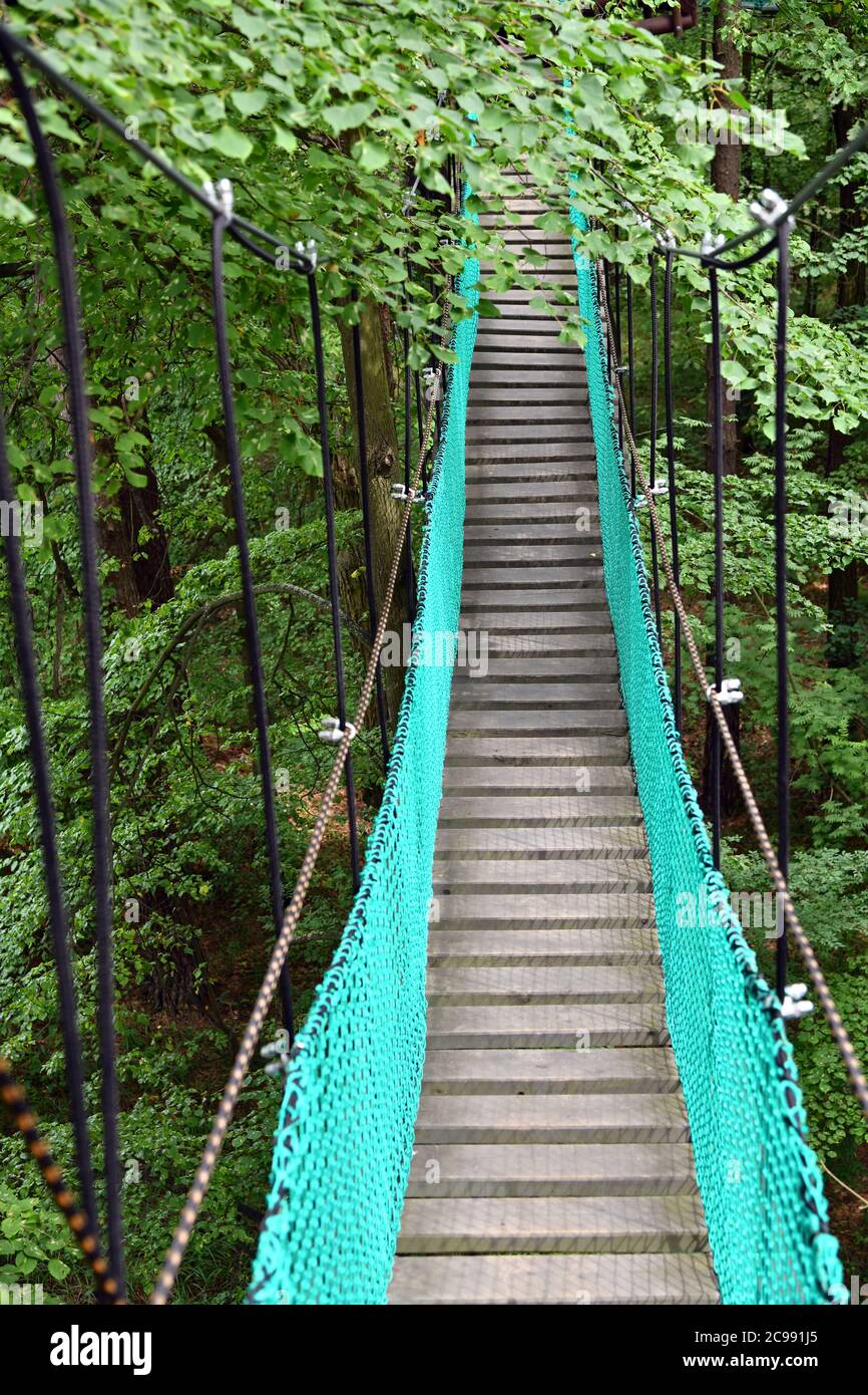 Forest Rope Bridge Hike High Resolution Stock Photography and Images ...