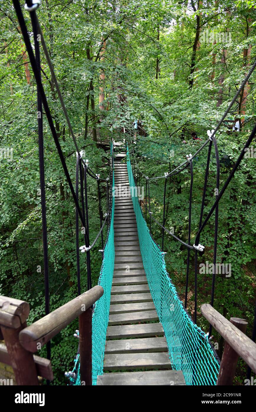 Forest Rope Bridge Hike High Resolution Stock Photography and Images ...