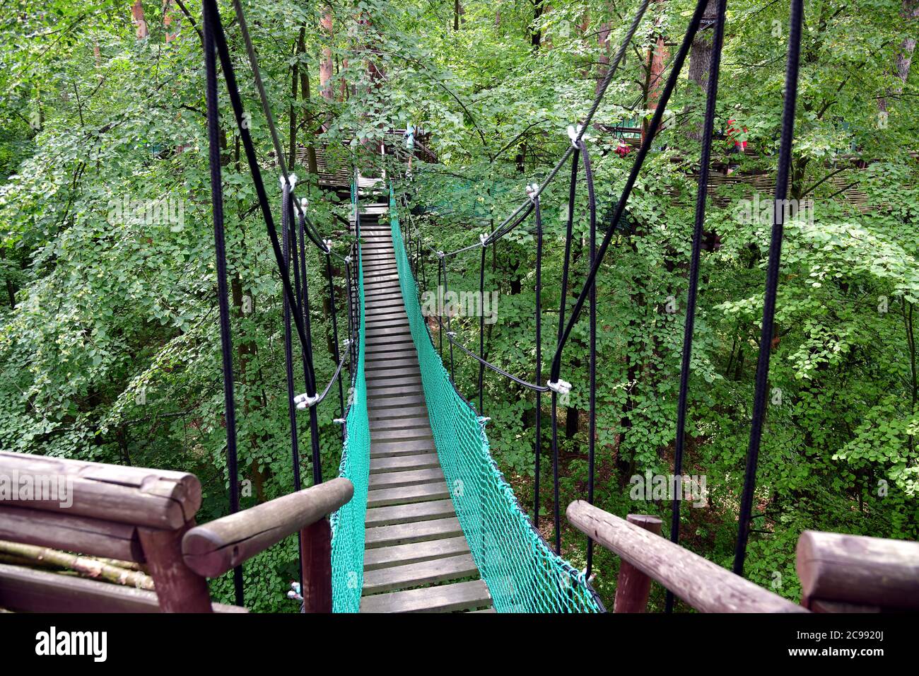 Forest Rope Bridge Hike High Resolution Stock Photography and Images ...