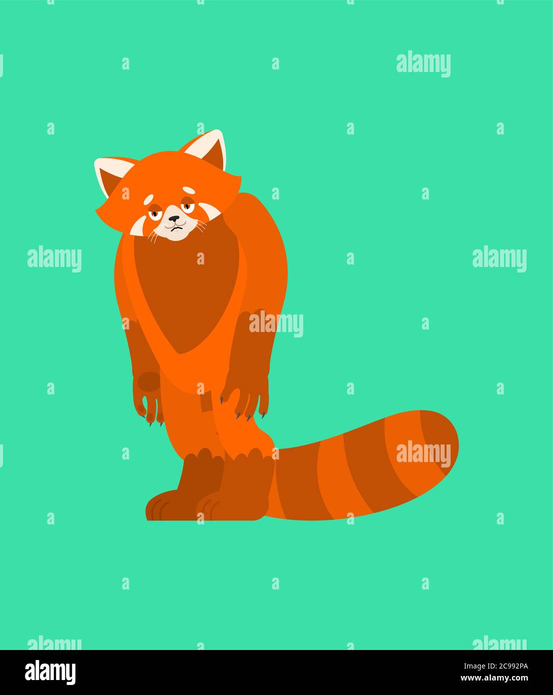 Red panda sad. Wild animal sorrowful. Beast dull. Vector illustration ...