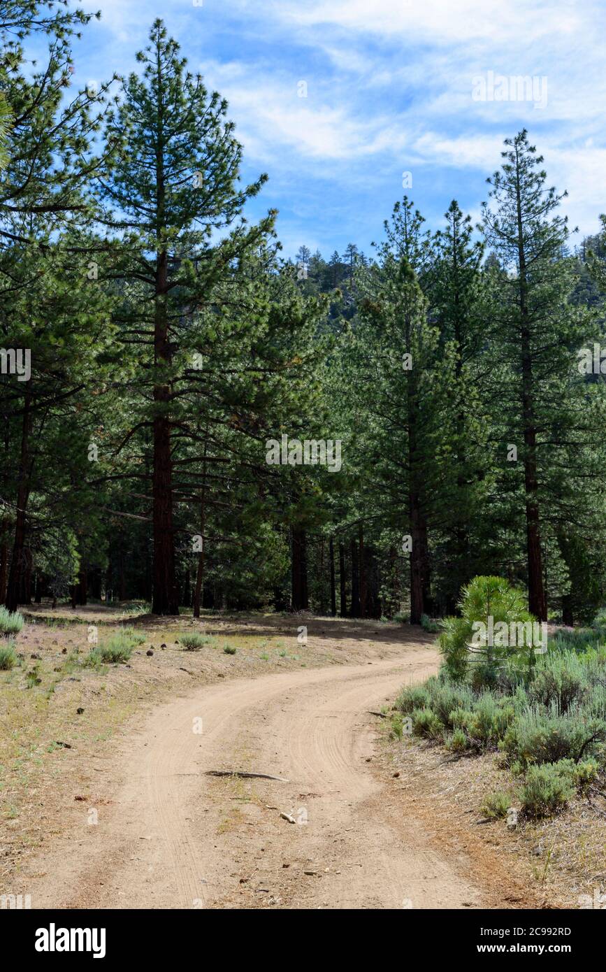 Fire pathway hi-res stock photography and images - Alamy