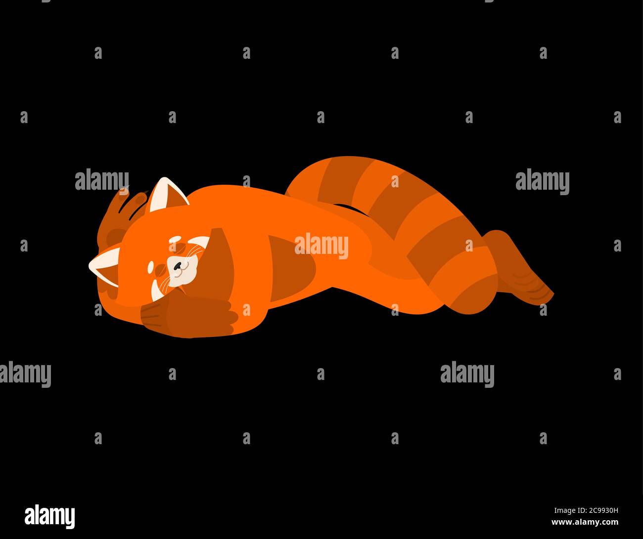 Red panda sleeping. Wild animal asleep emotions. Beast. Vector ...