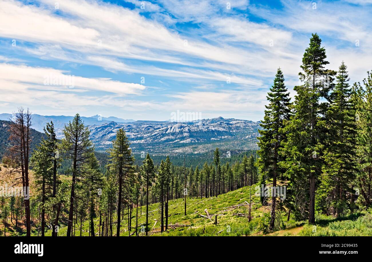 Looking down hill and across the valley below at forest and granite ...