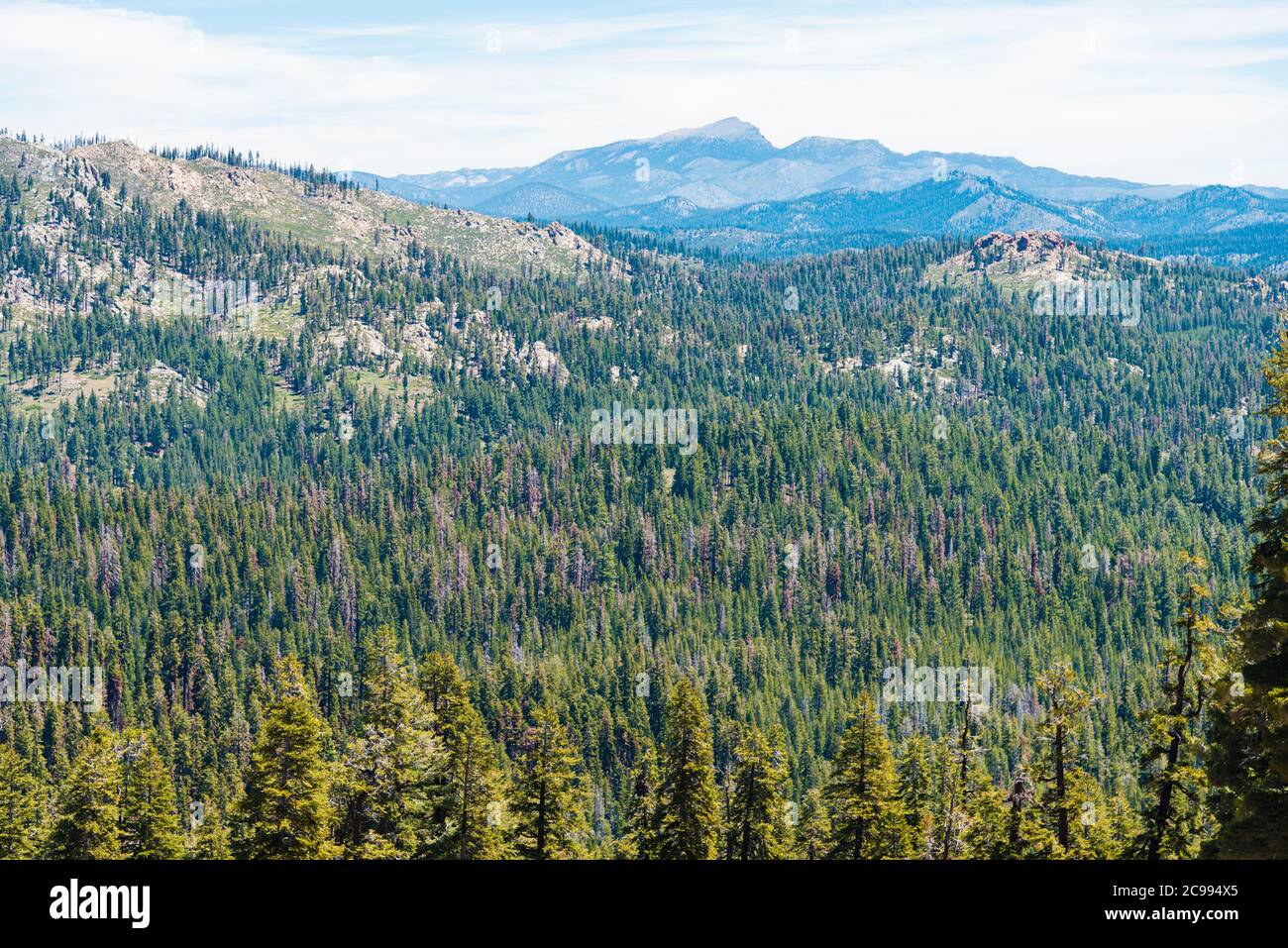 Looking out over green forested valley with tall mountain peak beyond ...