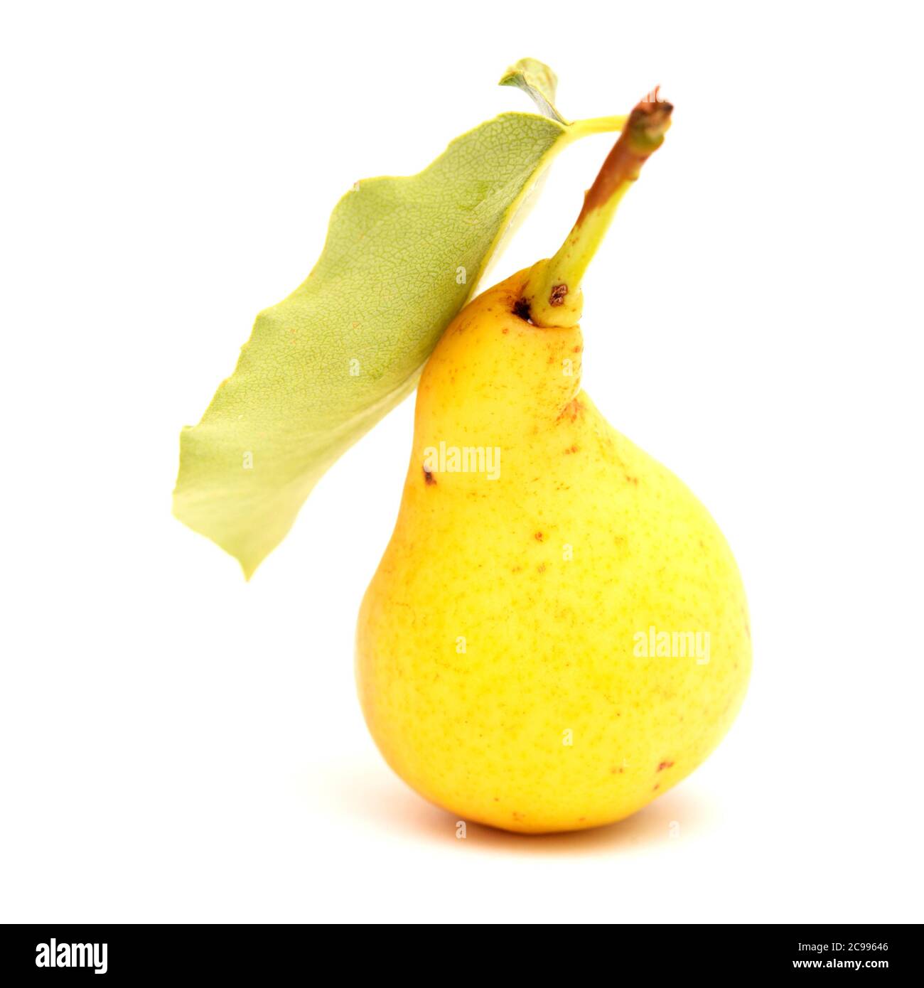 small wild yellow pear isolated on white background Stock Photo - Alamy